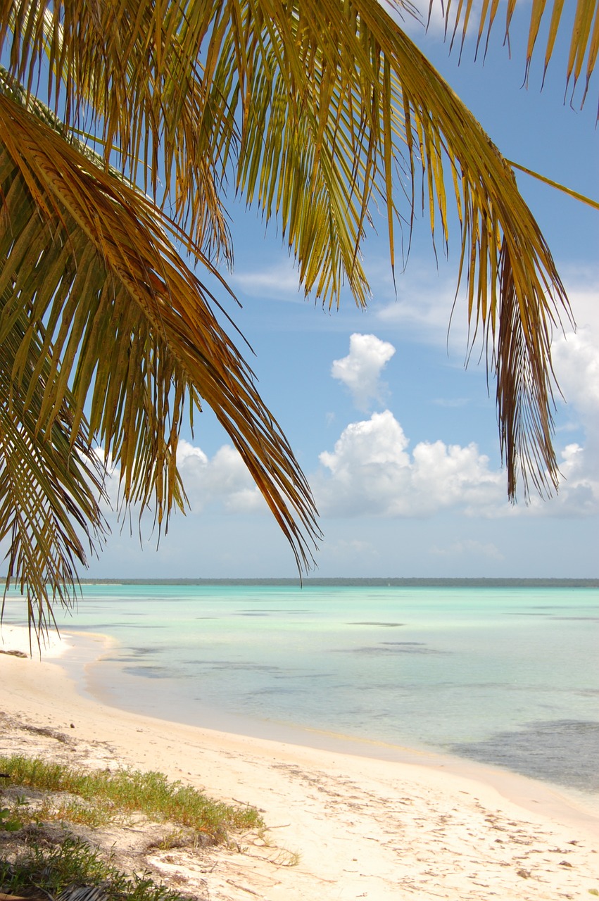 De Playa en Playa: La Guía Definitiva de Spots en el Caribe - Med Cat ...